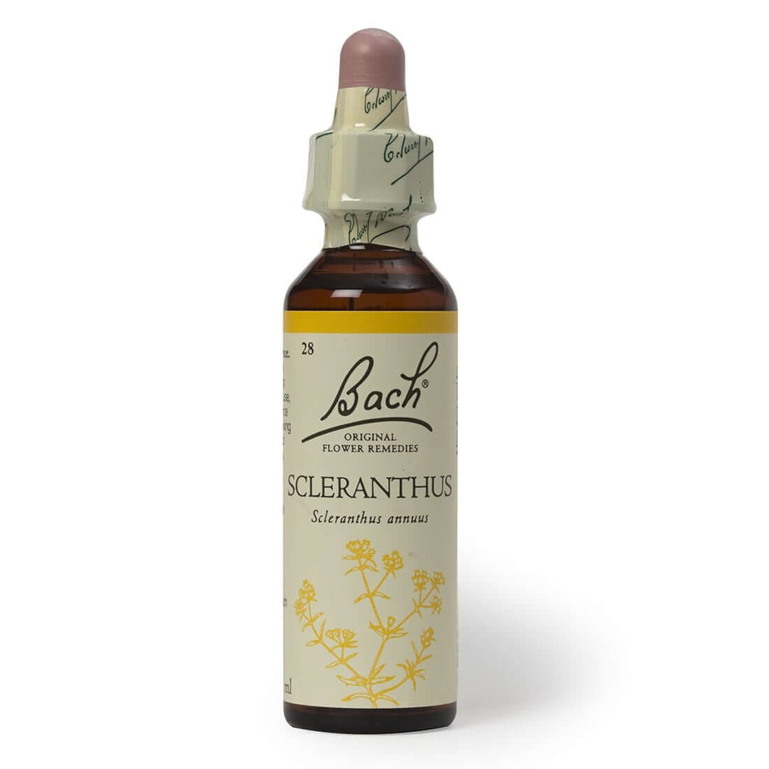Bach Original Flower Remedies Scleranthus 20ml – Homeopathy Express